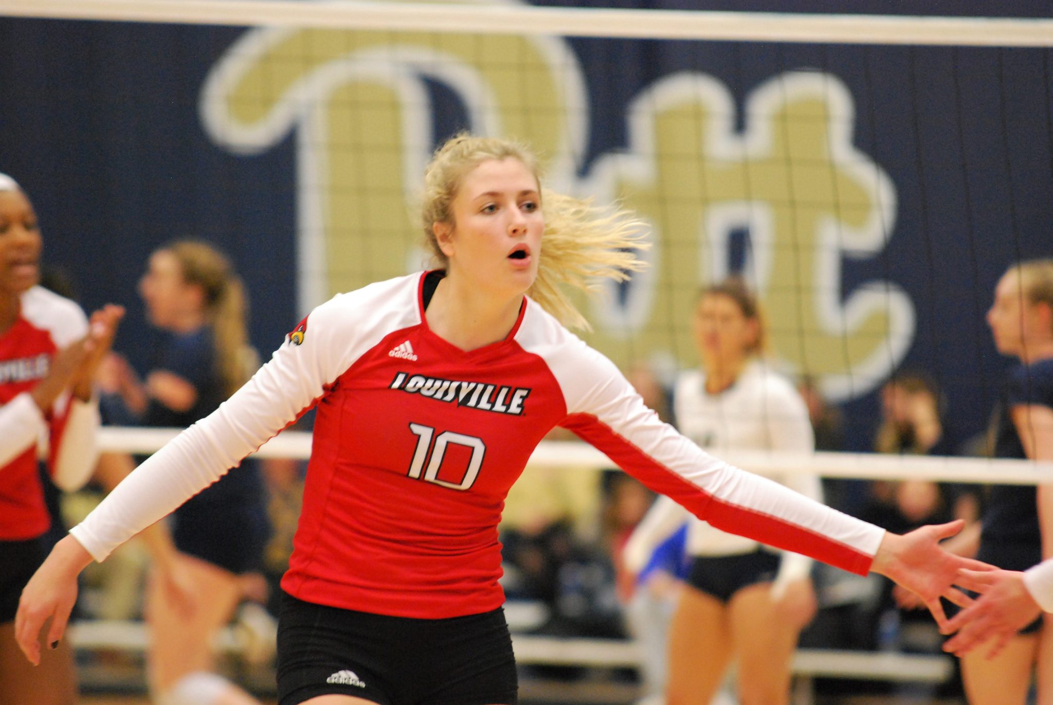 Pitt vs. Louisville, October 21st, 2018, Volleyball Photo Vault